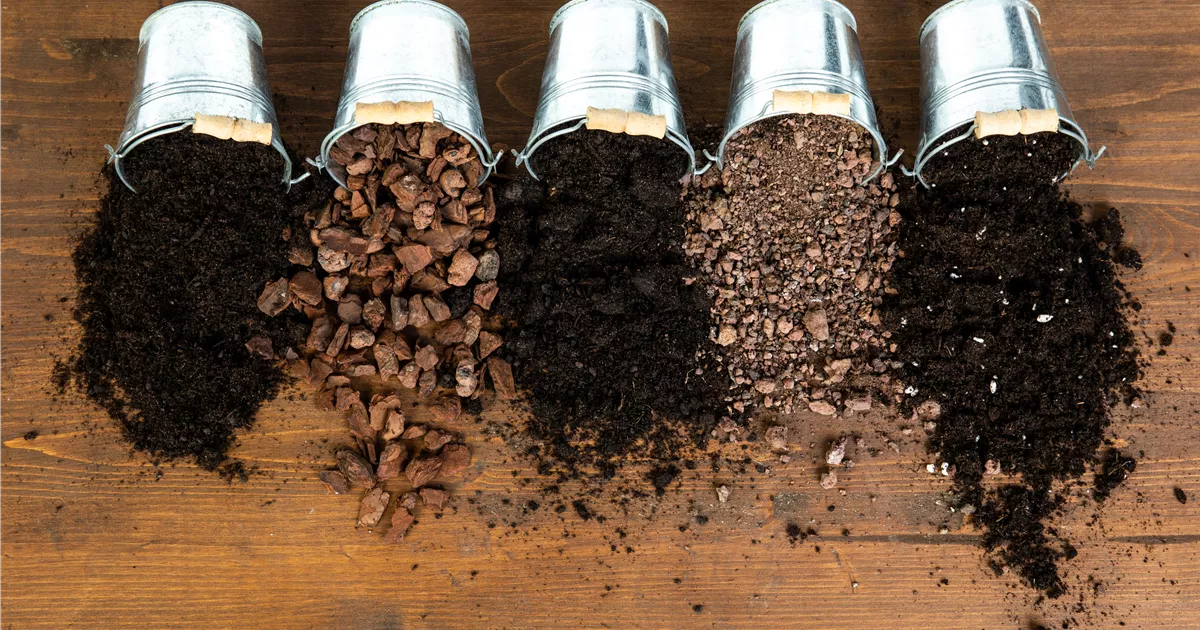 Die passende Erde für die Lieblingspflanzen in Haus und Garten ...