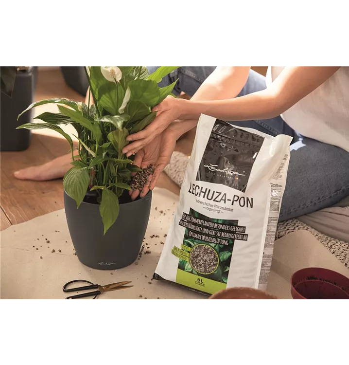 LECHUZA Pon Pflanzgranulat - GartenBaumschule Becker