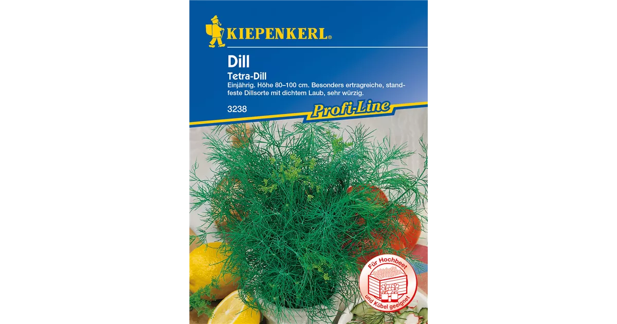 Tetra-Dill 'Tetra', Anethum graveolens var. hortorum 'Tetra ...